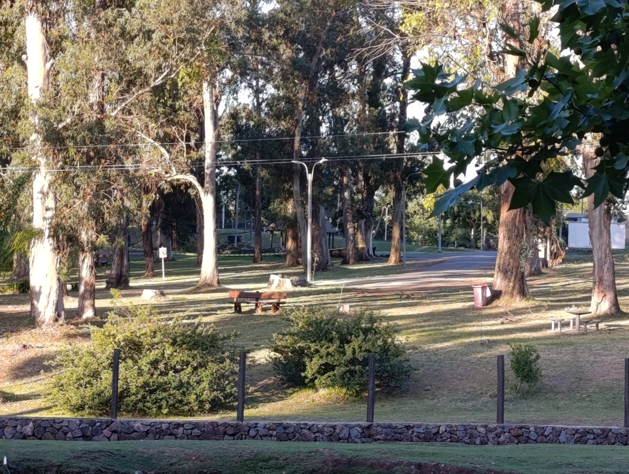 IDL cerró parte del Parque Rodó por caída de un árbol – Diario La Unión