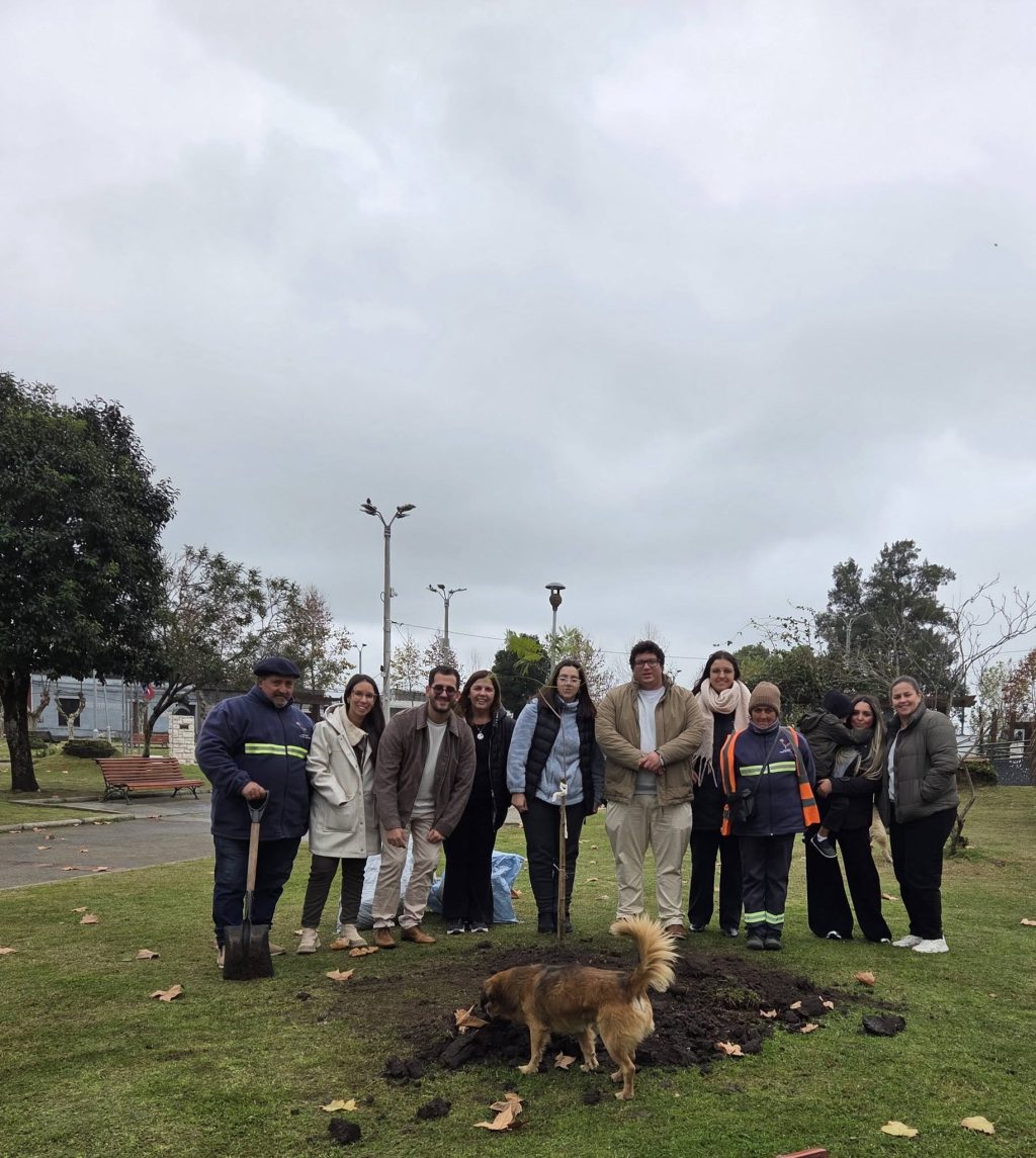 Plantaron un jacarandá en la plaza Lázaro Cabrera de Solís de Mataojo ...